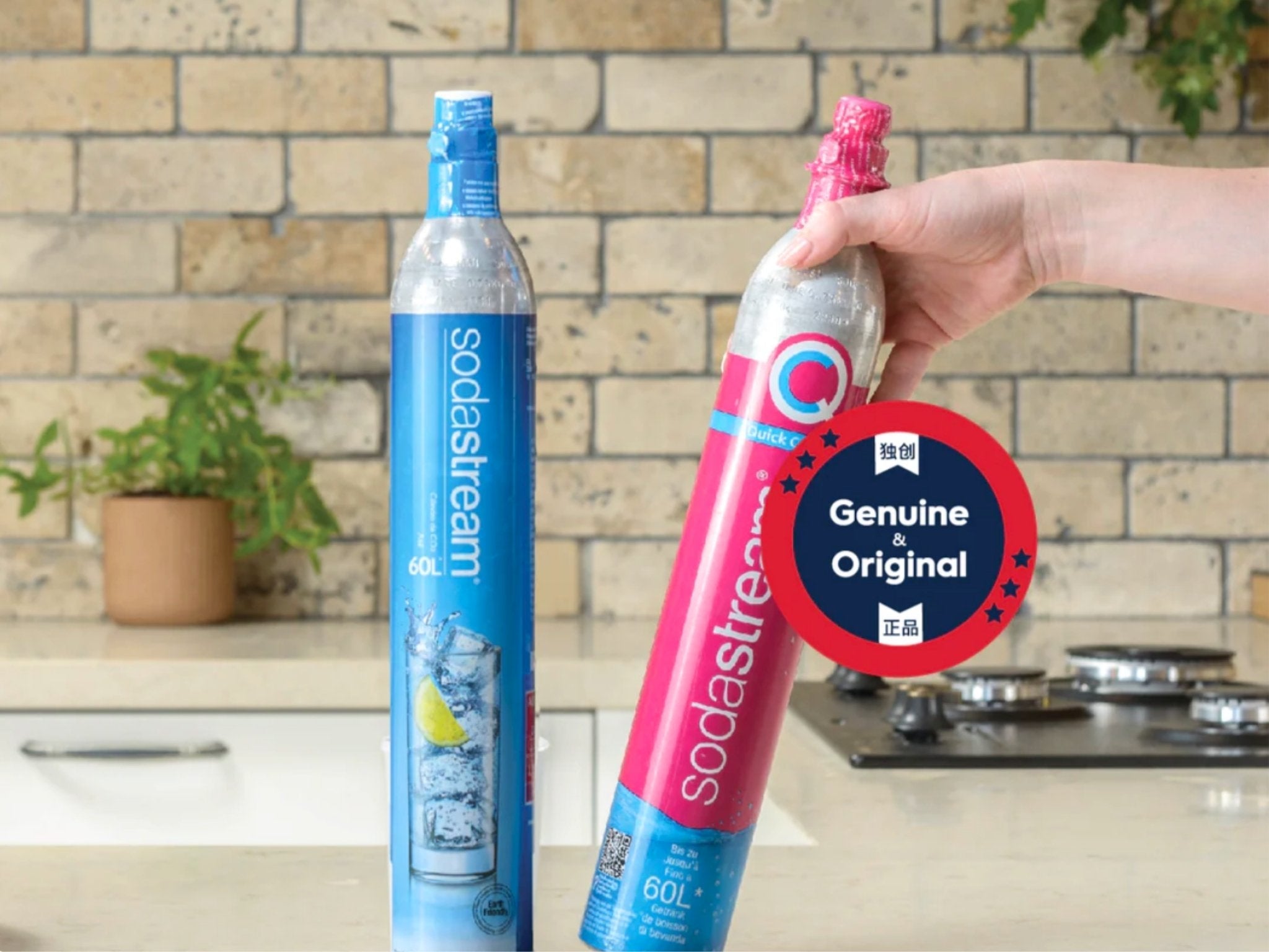The Fizz is Real: Why SodaStream is the Only Number One (And Why Knock ...